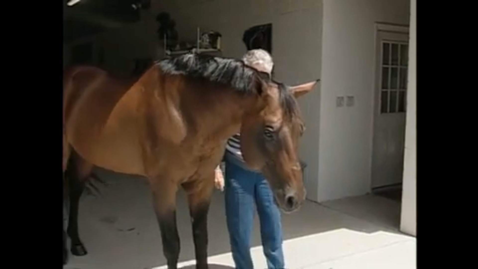 03/22/2003 Florida Crossroads – Racing to the Top - The Florida Channel