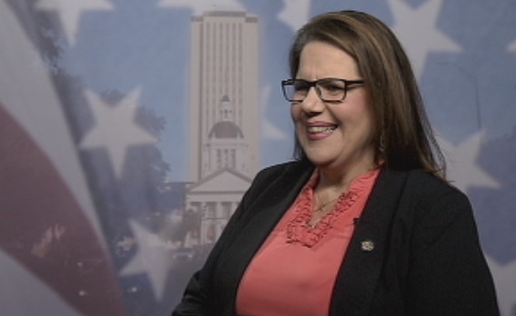 Perspectives – Representative Valdés, Susan L. (D) - District 62 ...