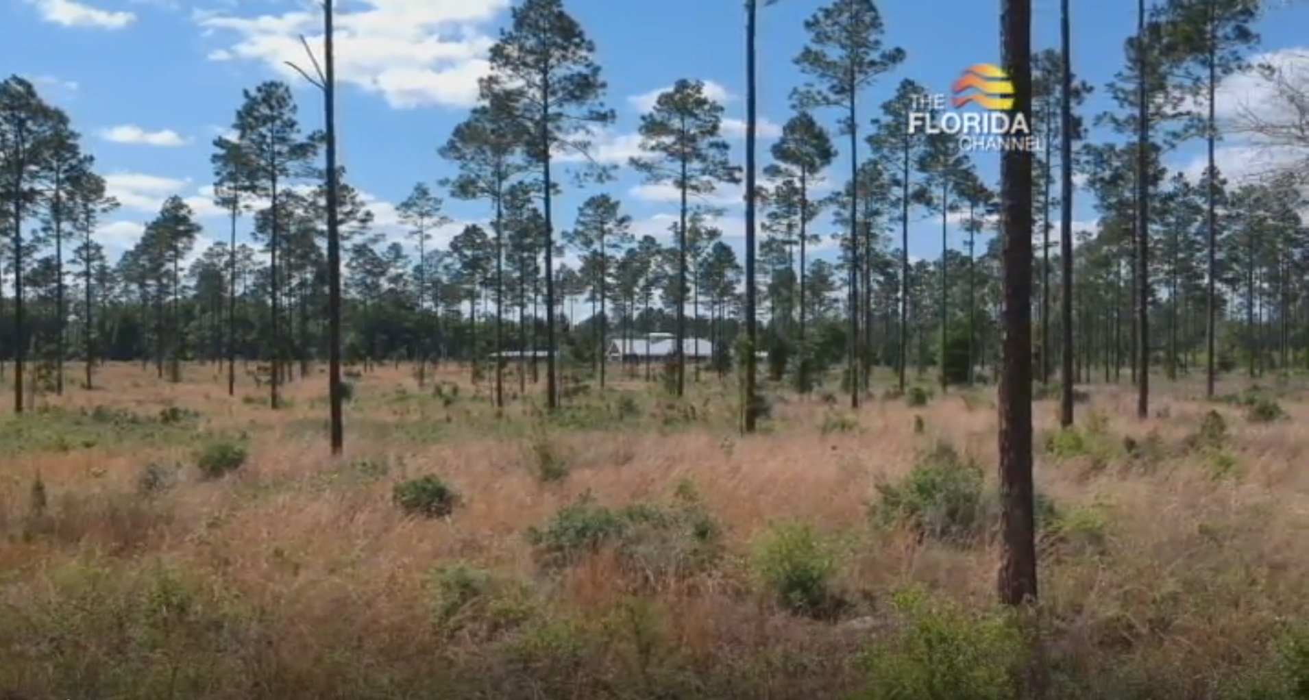 Florida Portrait - Wakulla Environmental Institute - The Florida Channel